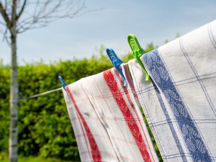 Storm clothes Pegs BiB – Bloom in box